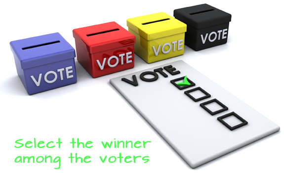 Select the winners of your promotion from among the voters